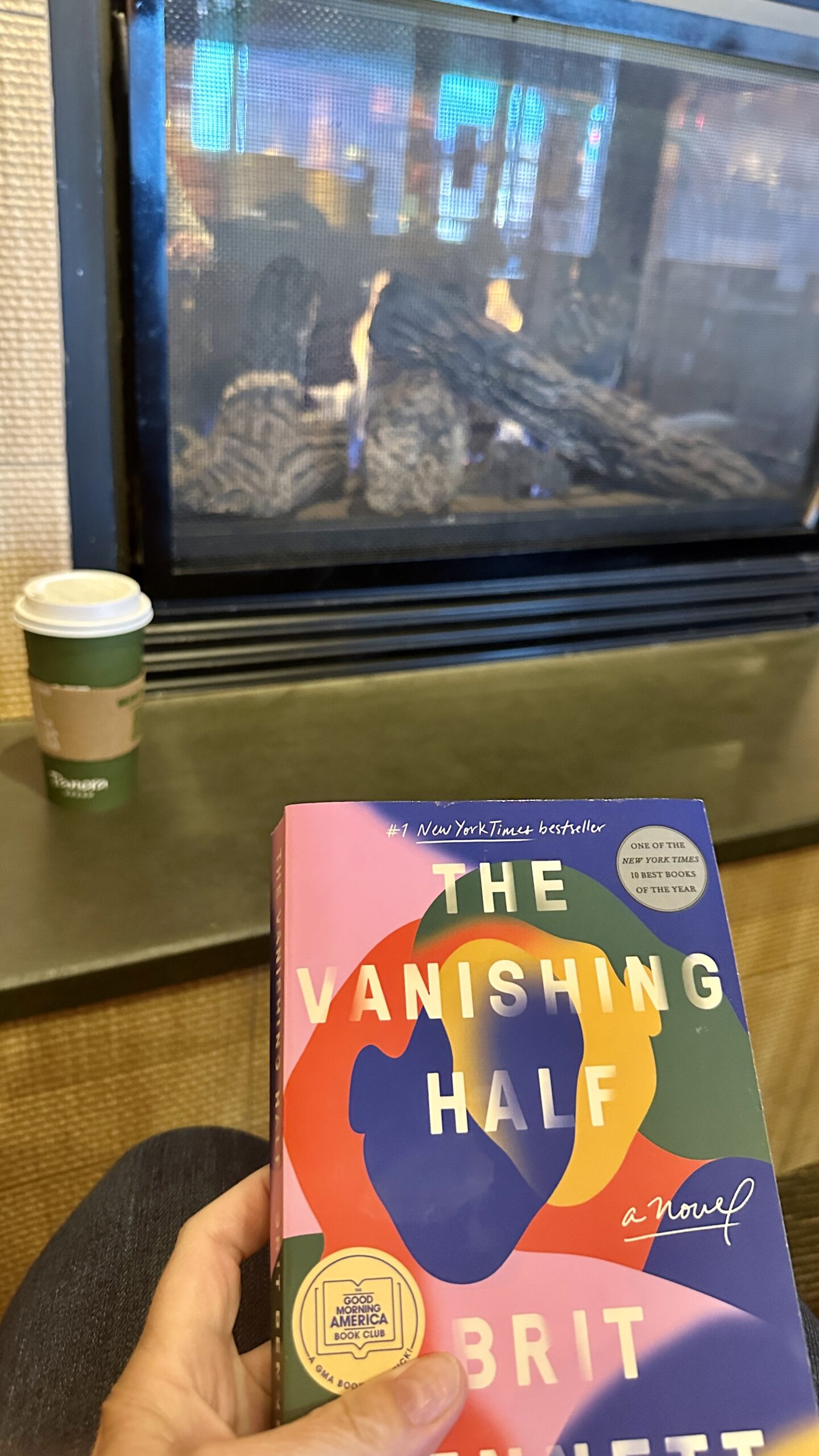Book Review – The Vanishing Half – The Metastatic Breast Cancer Journey